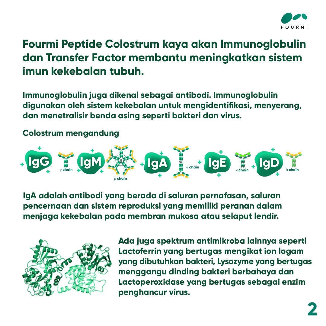 Galeri Fourmi Peptide Colostrum - QODE