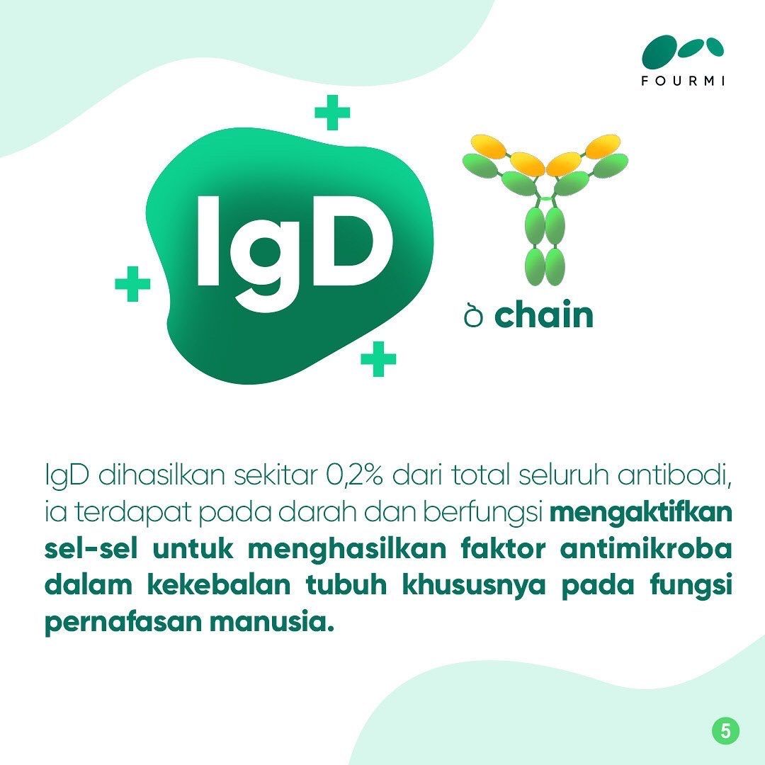 Galeri Fourmi Peptide Colostrum - QODE