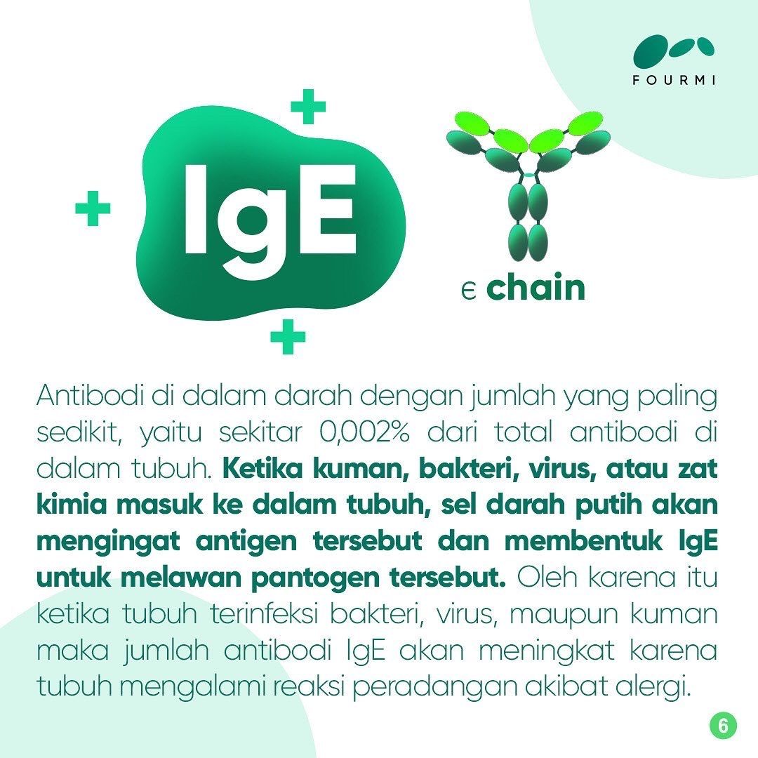 Galeri Fourmi Peptide Colostrum - QODE