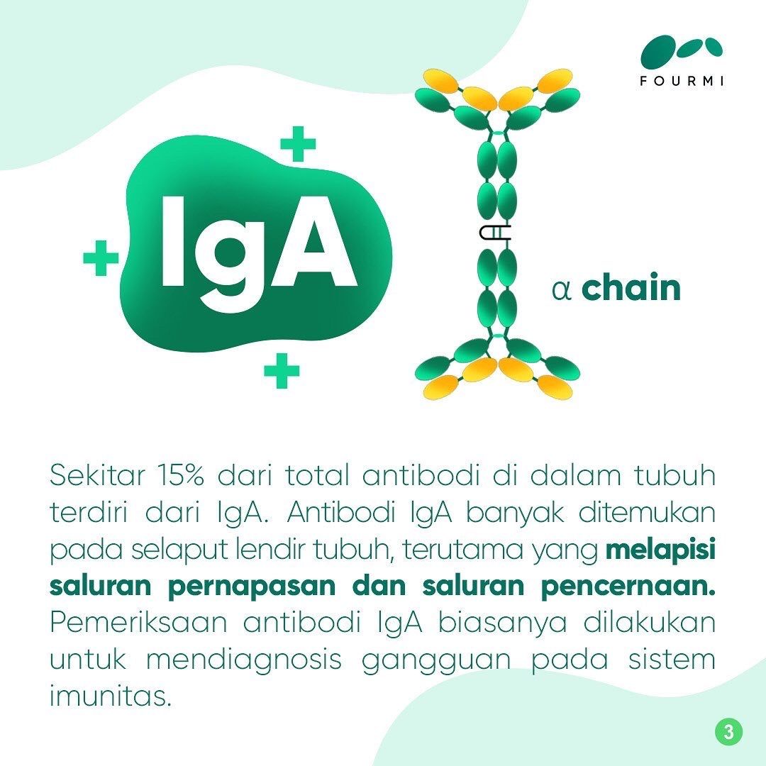 Galeri Fourmi Peptide Colostrum - QODE