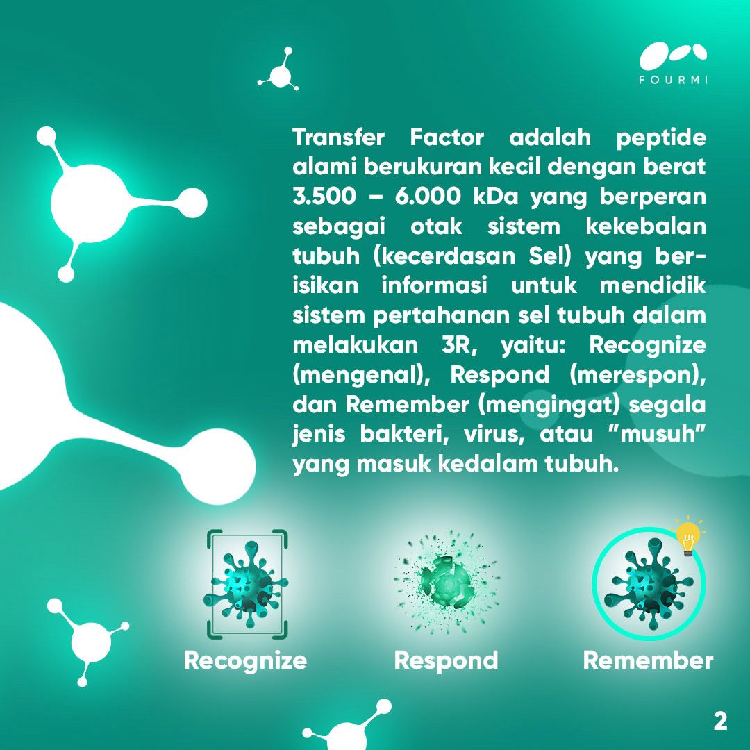 Galeri Fourmi Peptide Colostrum - QODE